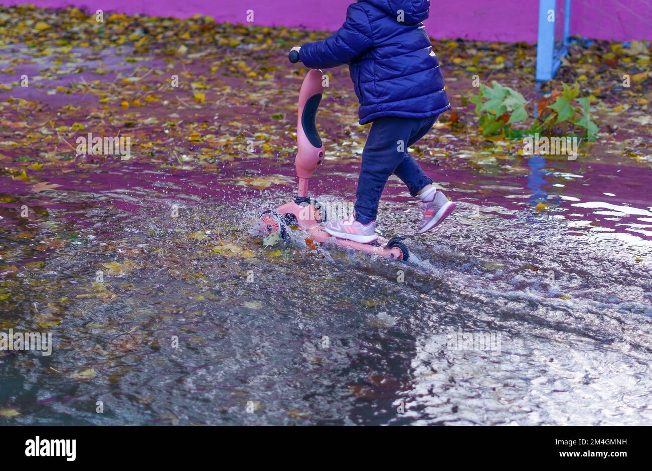 boy riding his skateboard across a puddle on a rainy day with leaves on ...