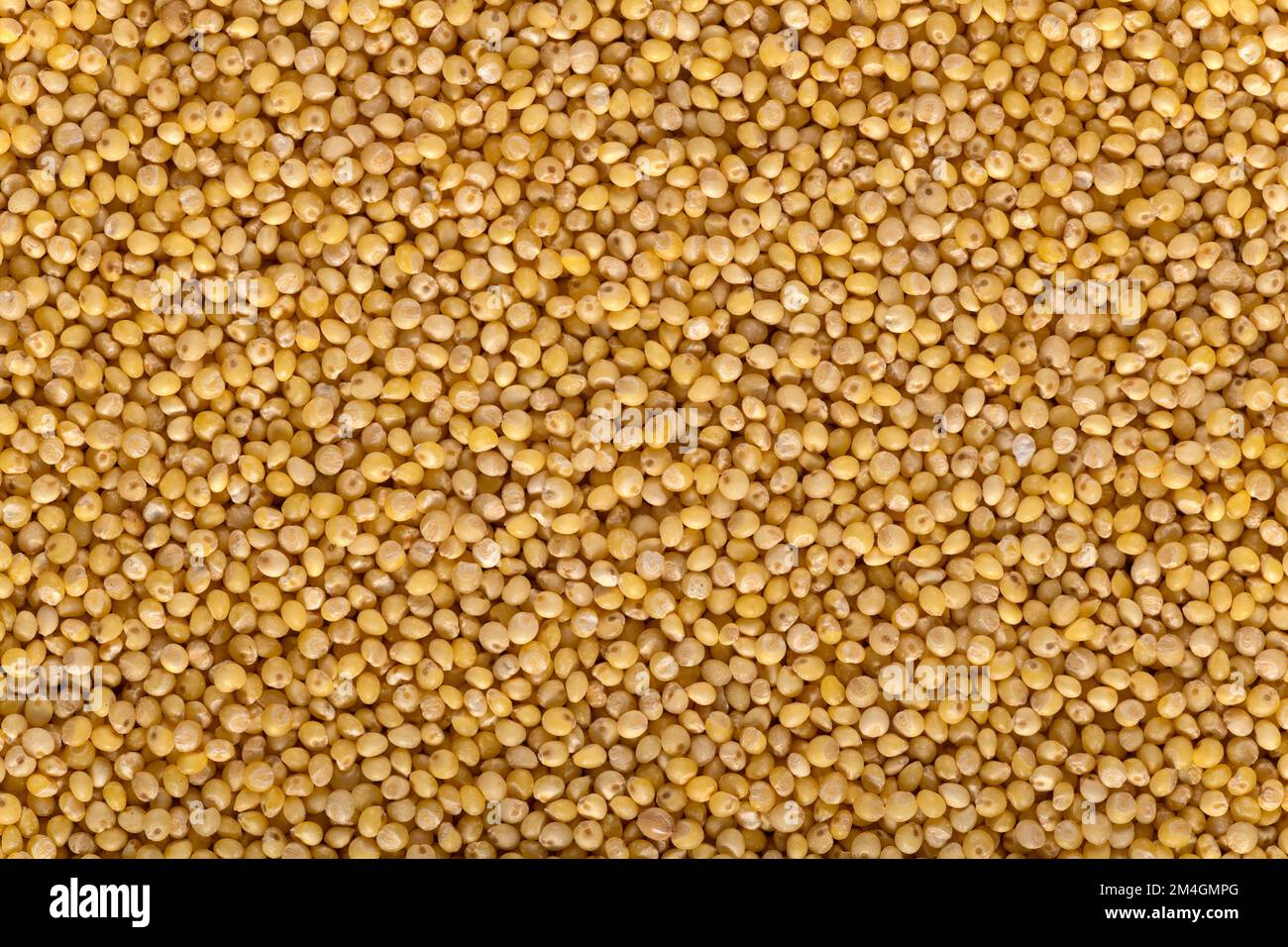 Hulled millet texture hi-res stock photography and images - Alamy