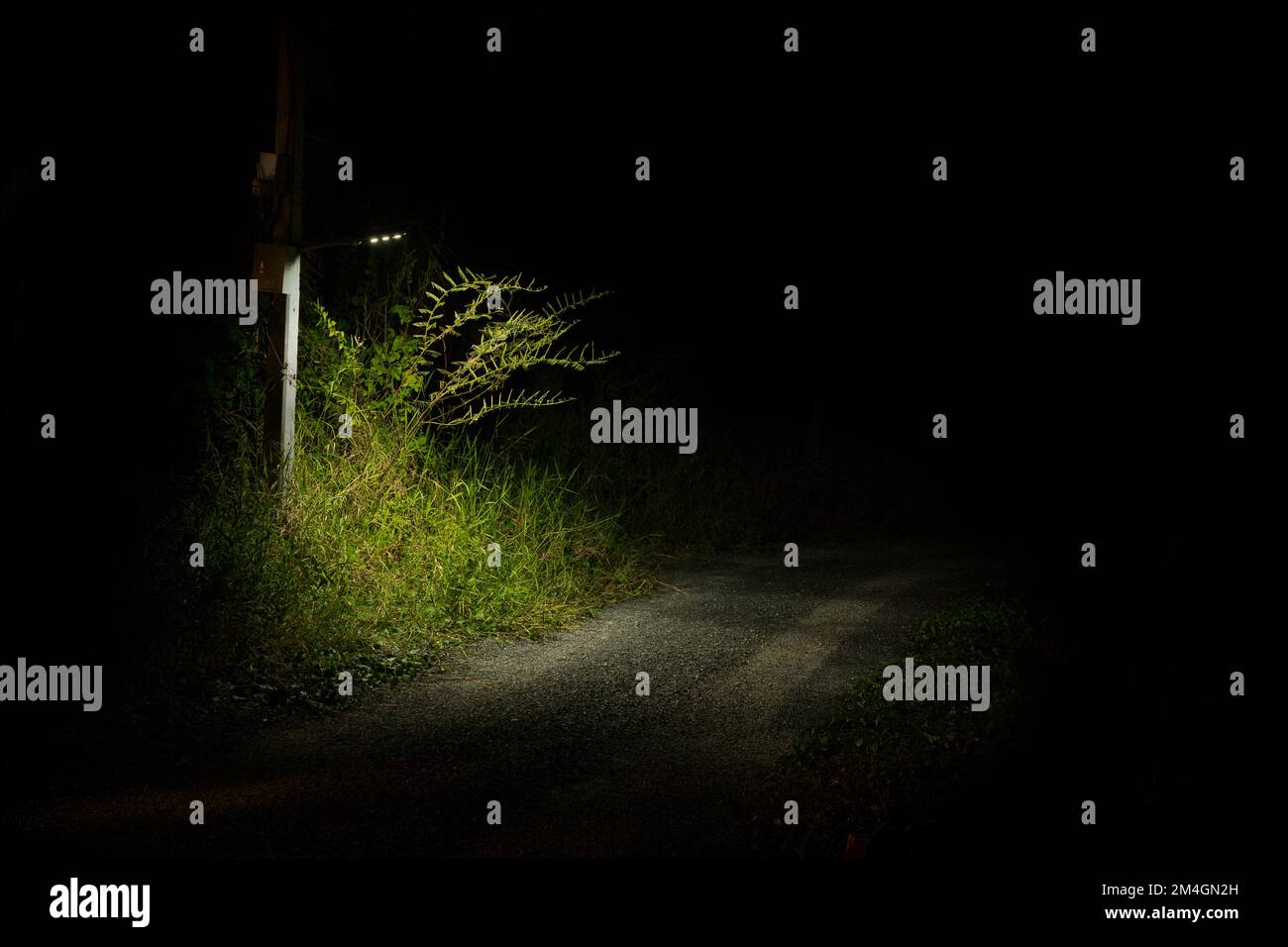 street light on countryside road with overgrown grass background in ...