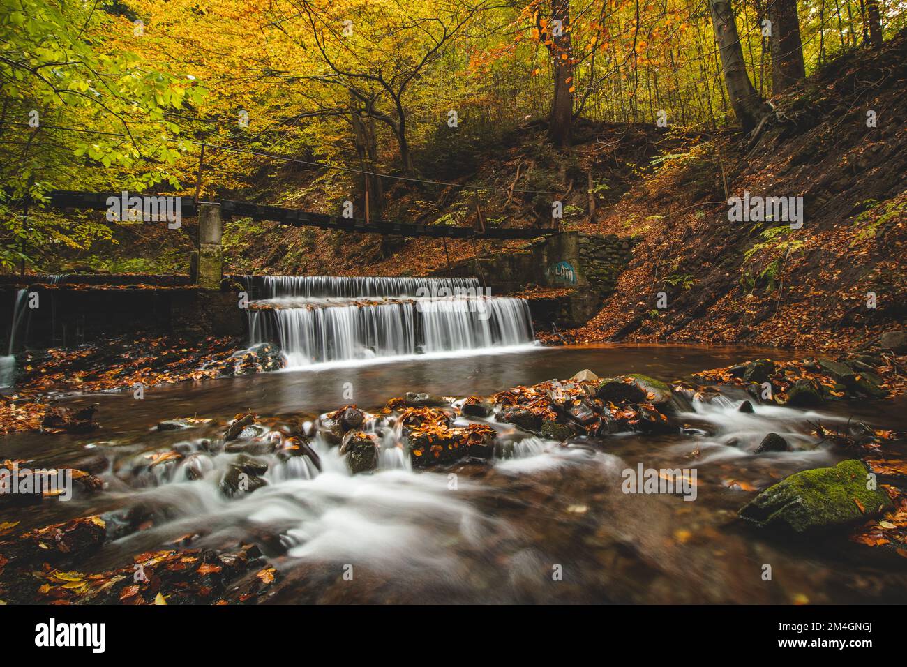 Bystra River with clear water in an untouched landscape amidst an ...