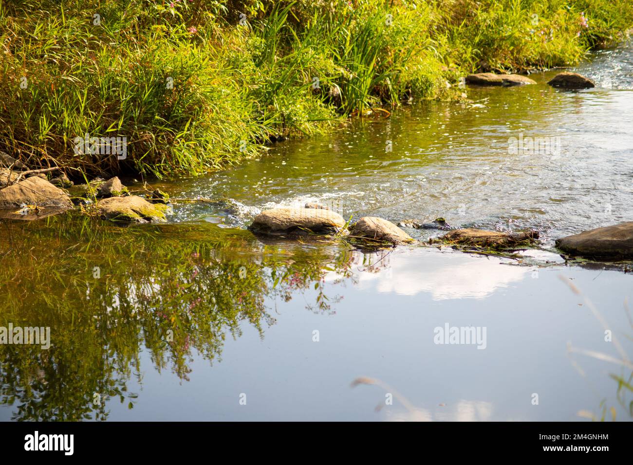 Wild river with rocks and eddies in the water. High quality photo Stock ...