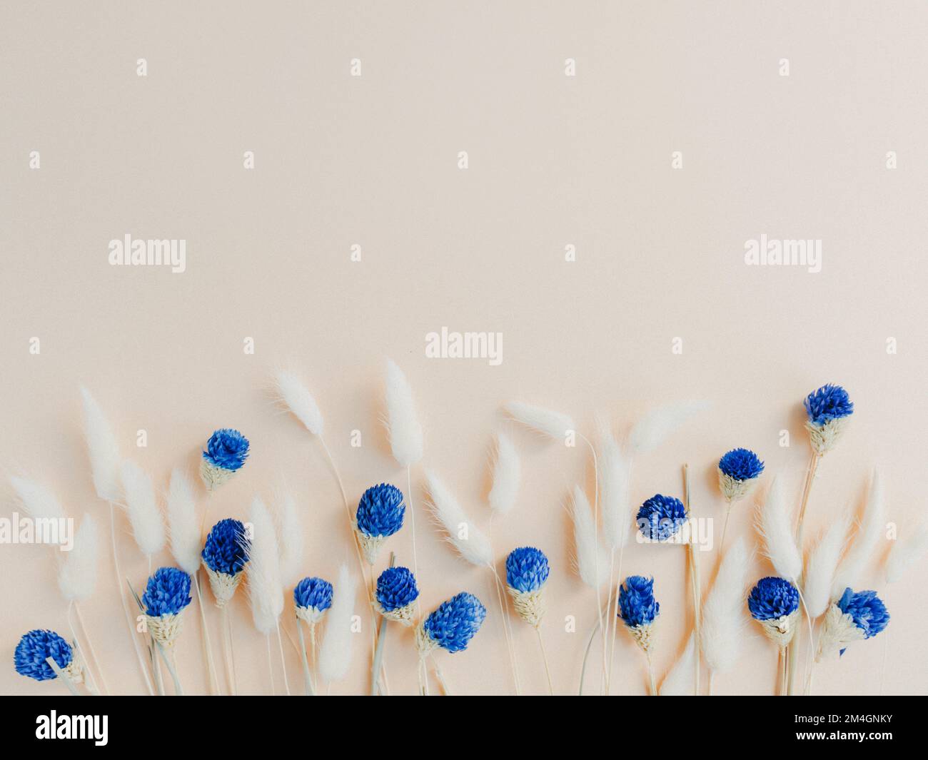 Dry floral blue and beige branch border on beige background. Flat lay ...