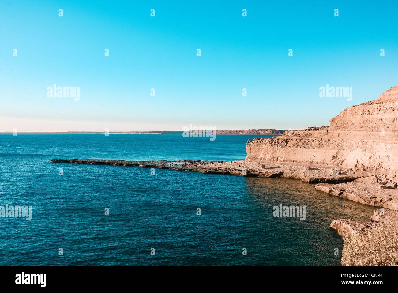 Beautiful landscape of rocky cliff with sea lions during sunset in ...