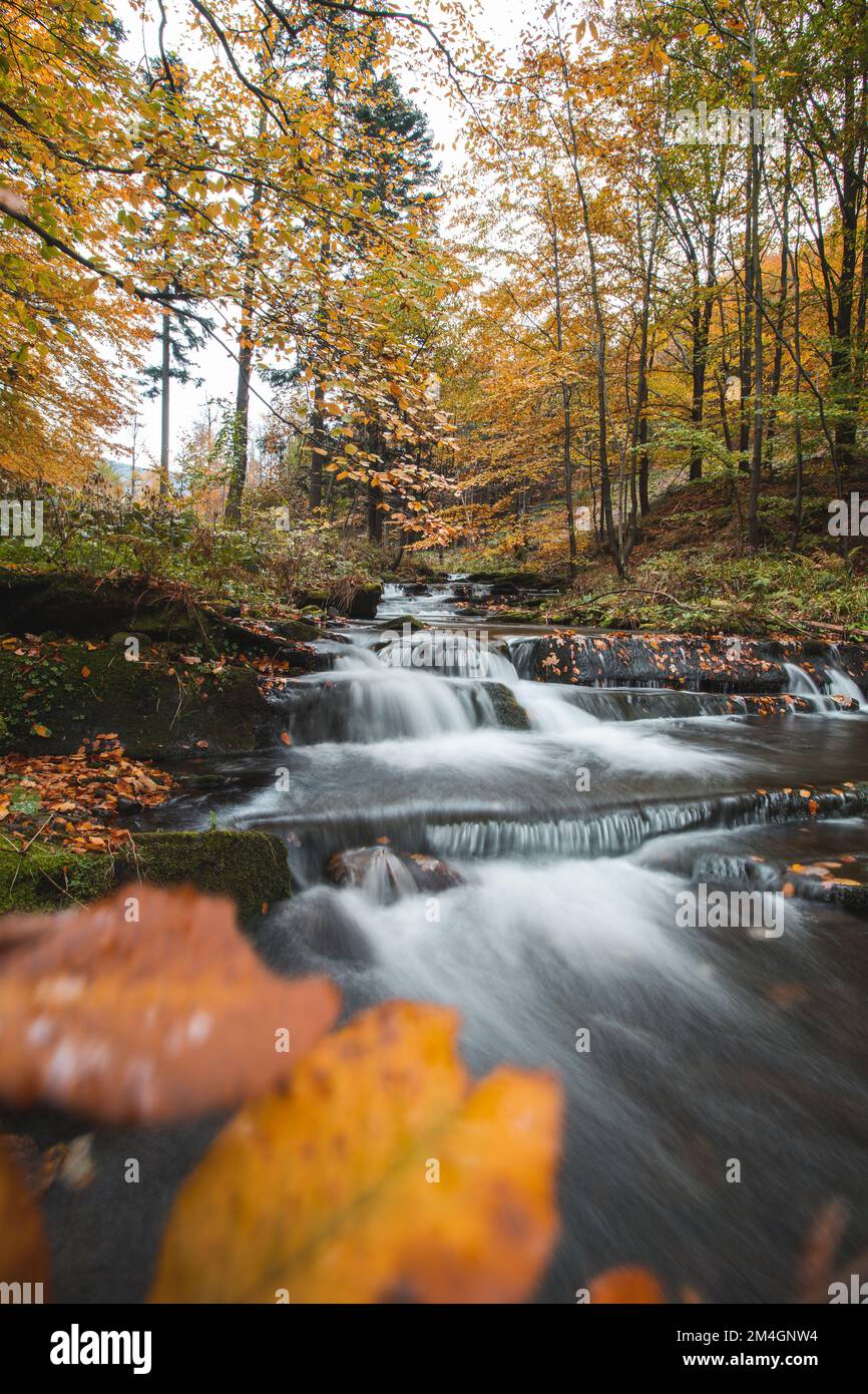 Bystra River with clear water and small waterfalls in an untouched ...