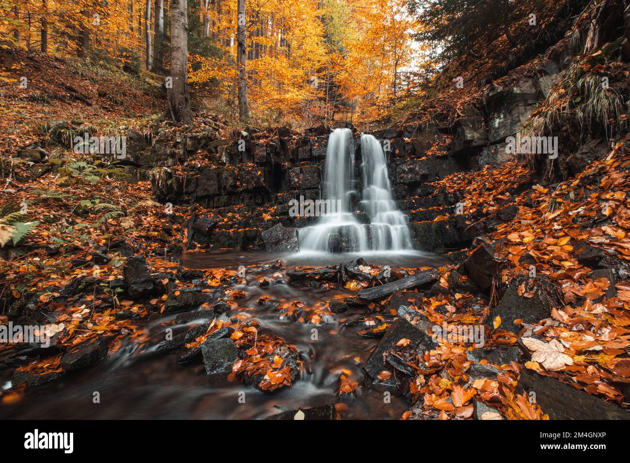 Wonderful cascading waterfall Bystry covered and surrounded by autumn ...