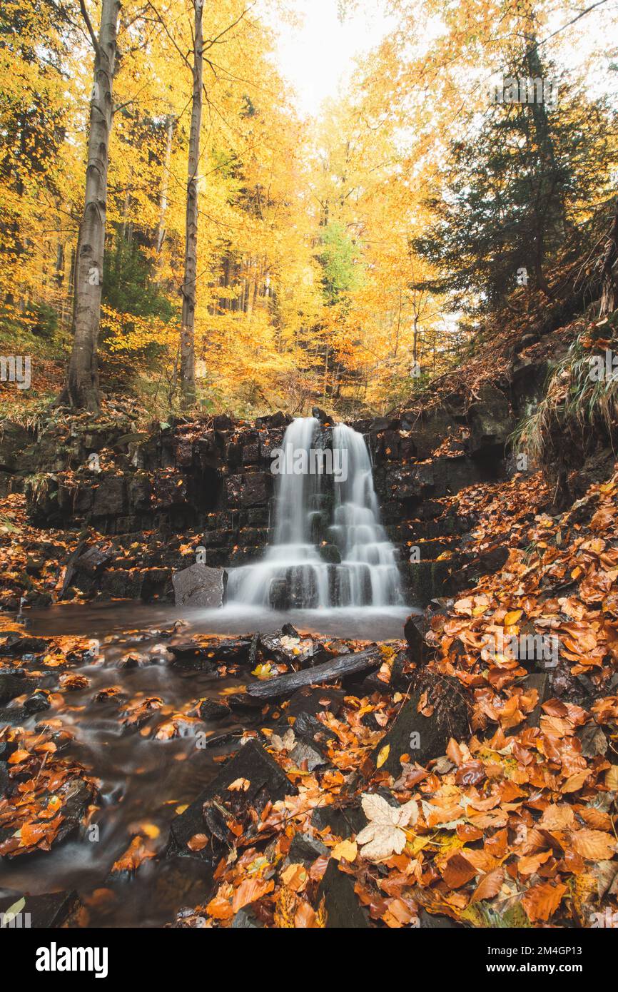 Wonderful cascading waterfall Bystry covered and surrounded by autumn ...