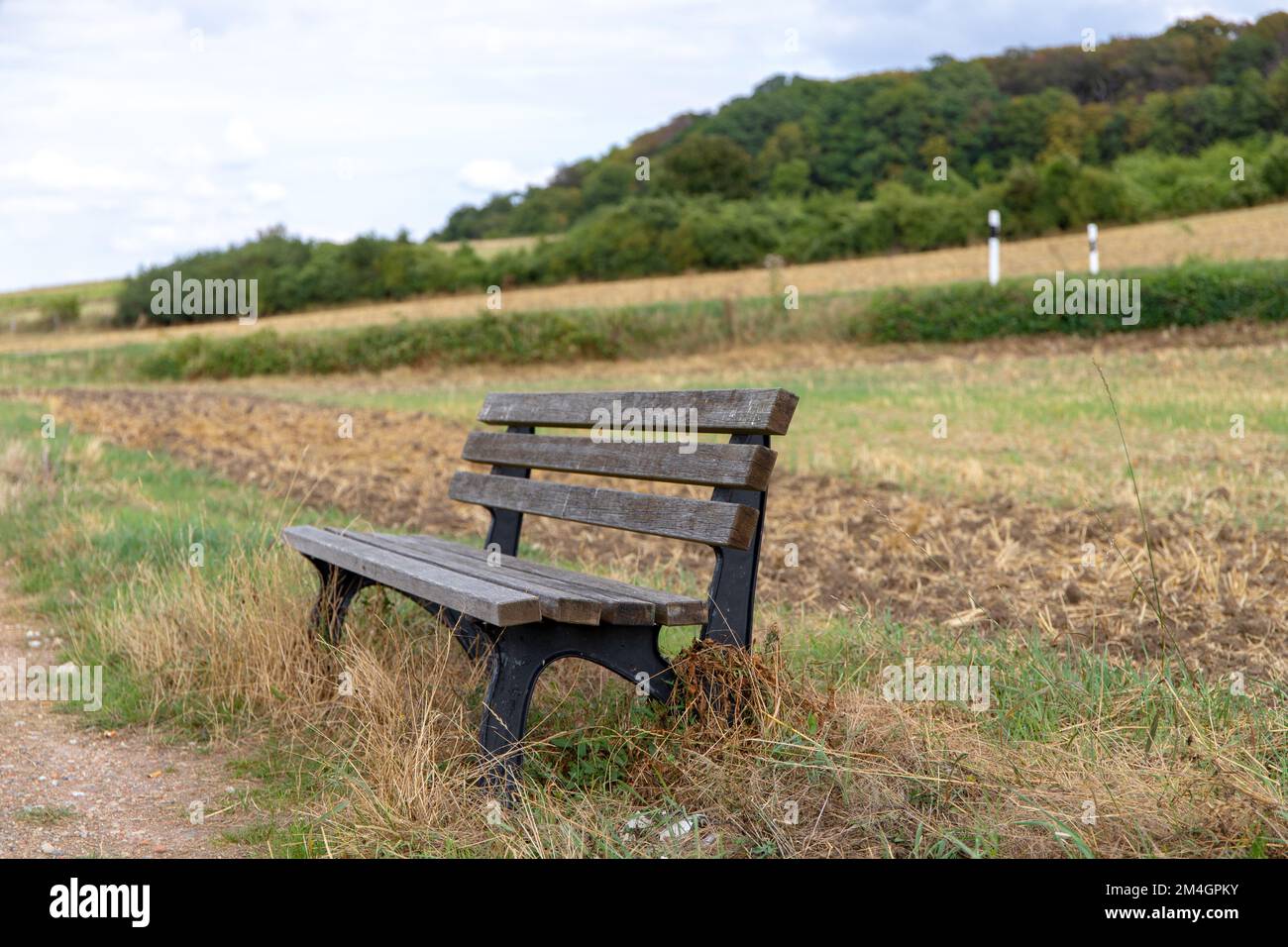 bench on a dirt road with road in the background Stock Photo - Alamy