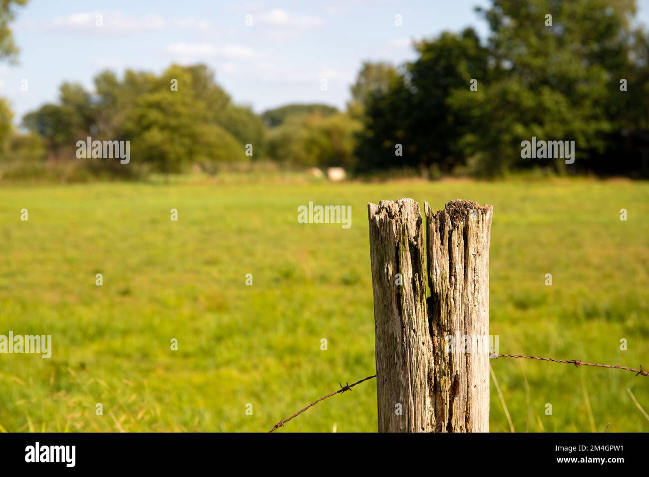 Fence post rotting hi-res stock photography and images - Alamy