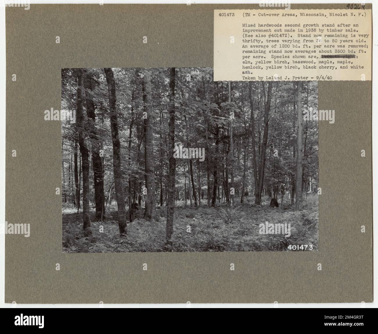 Timber Management - Partial Cutting - Wisconsin. Photographs Relating ...