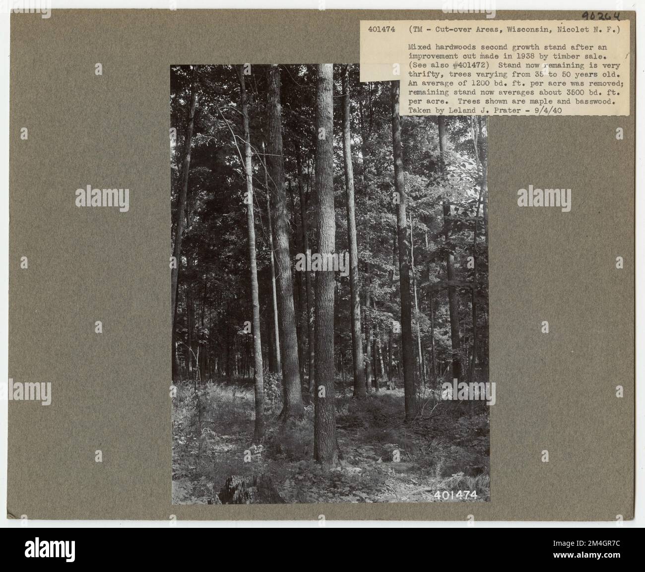 Timber Management - Partial Cutting - Wisconsin. Photographs Relating ...