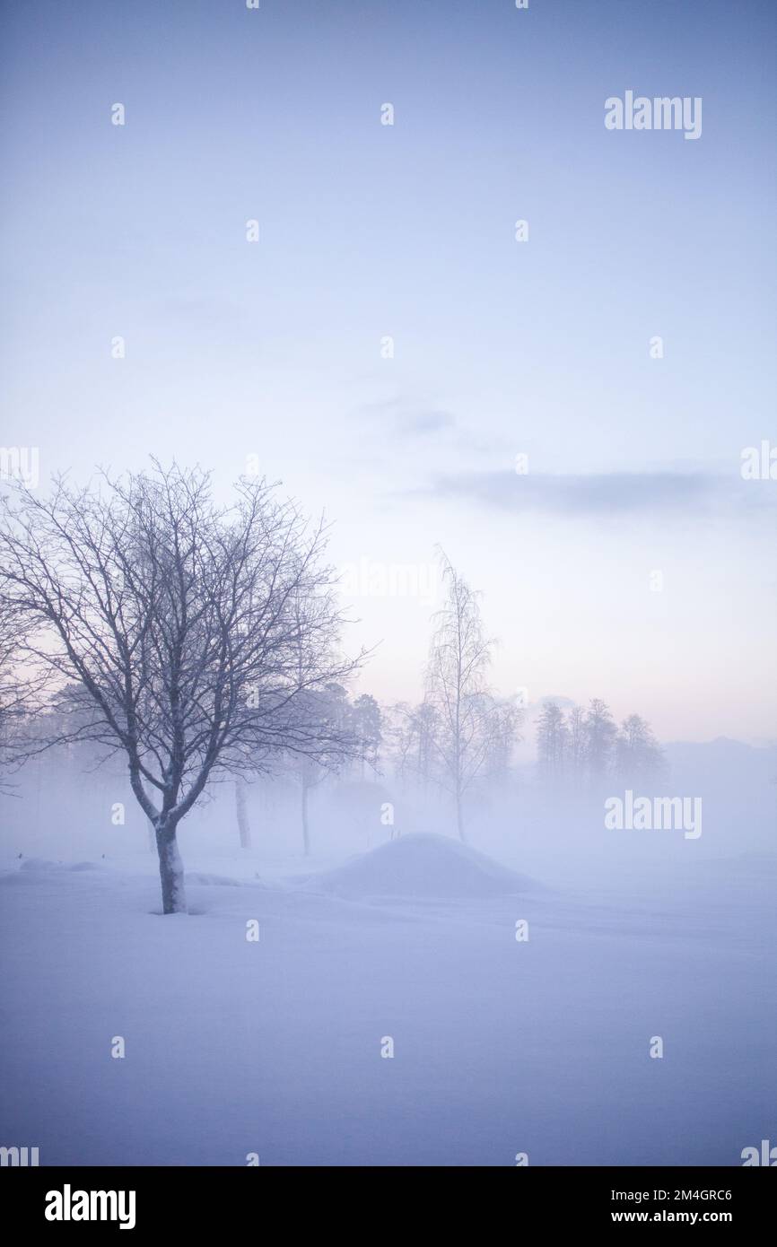 Beautiful foggy sunset in winter wonderland Finland Stock Photo - Alamy