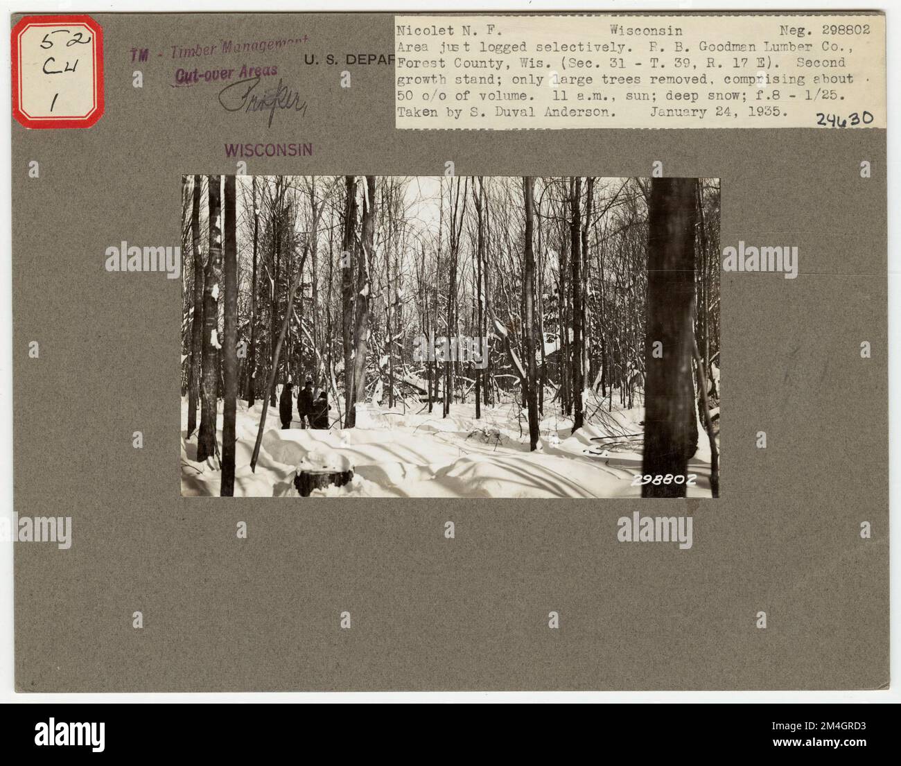 Timber Management - Partial Cutting - Wisconsin. Photographs Relating ...