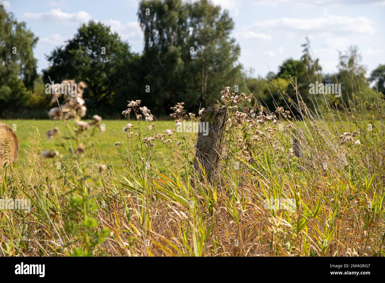 Colourful fence posts hi-res stock photography and images - Alamy
