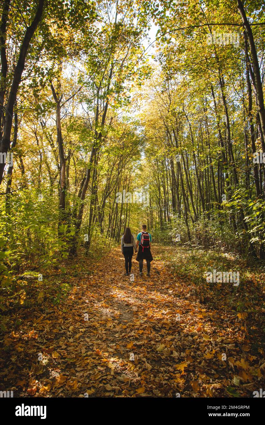 Couple love hiking through the beautiful deciduous forest with autumn ...