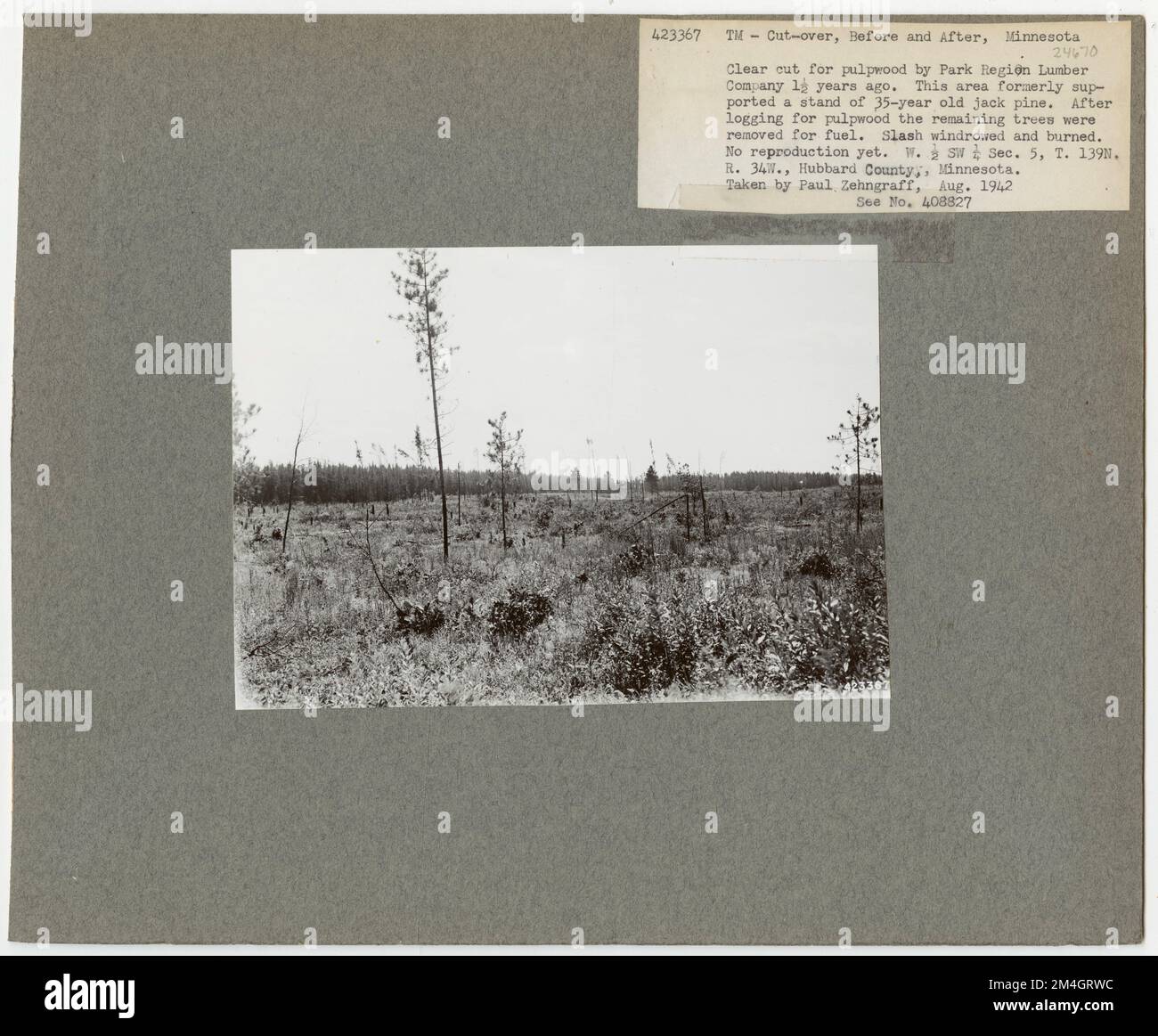 Timber Management - Partial Cutting - Minnesota. Photographs Relating ...