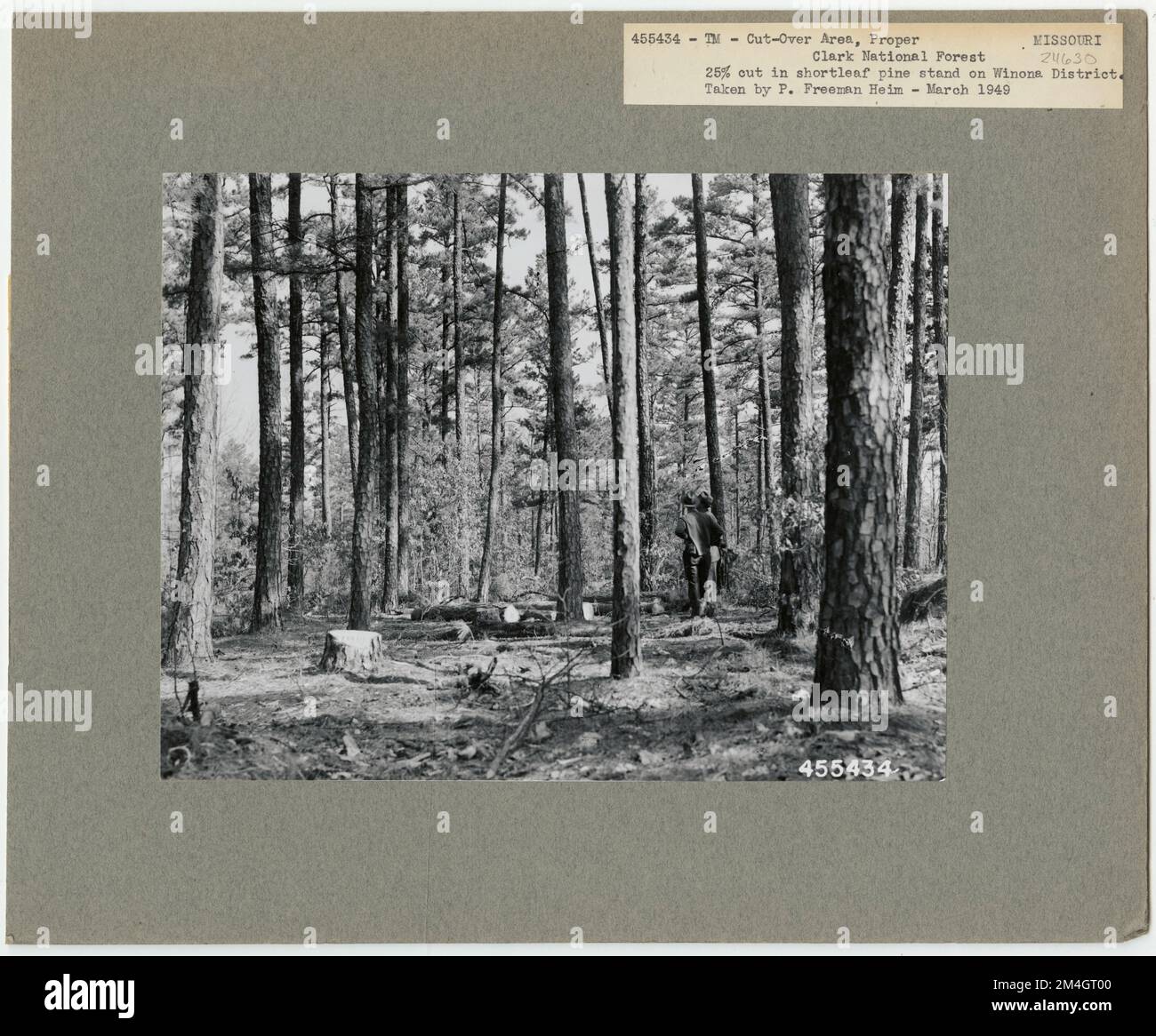 Timber Management - Partial Cutting - Missouri. Photographs Relating to ...