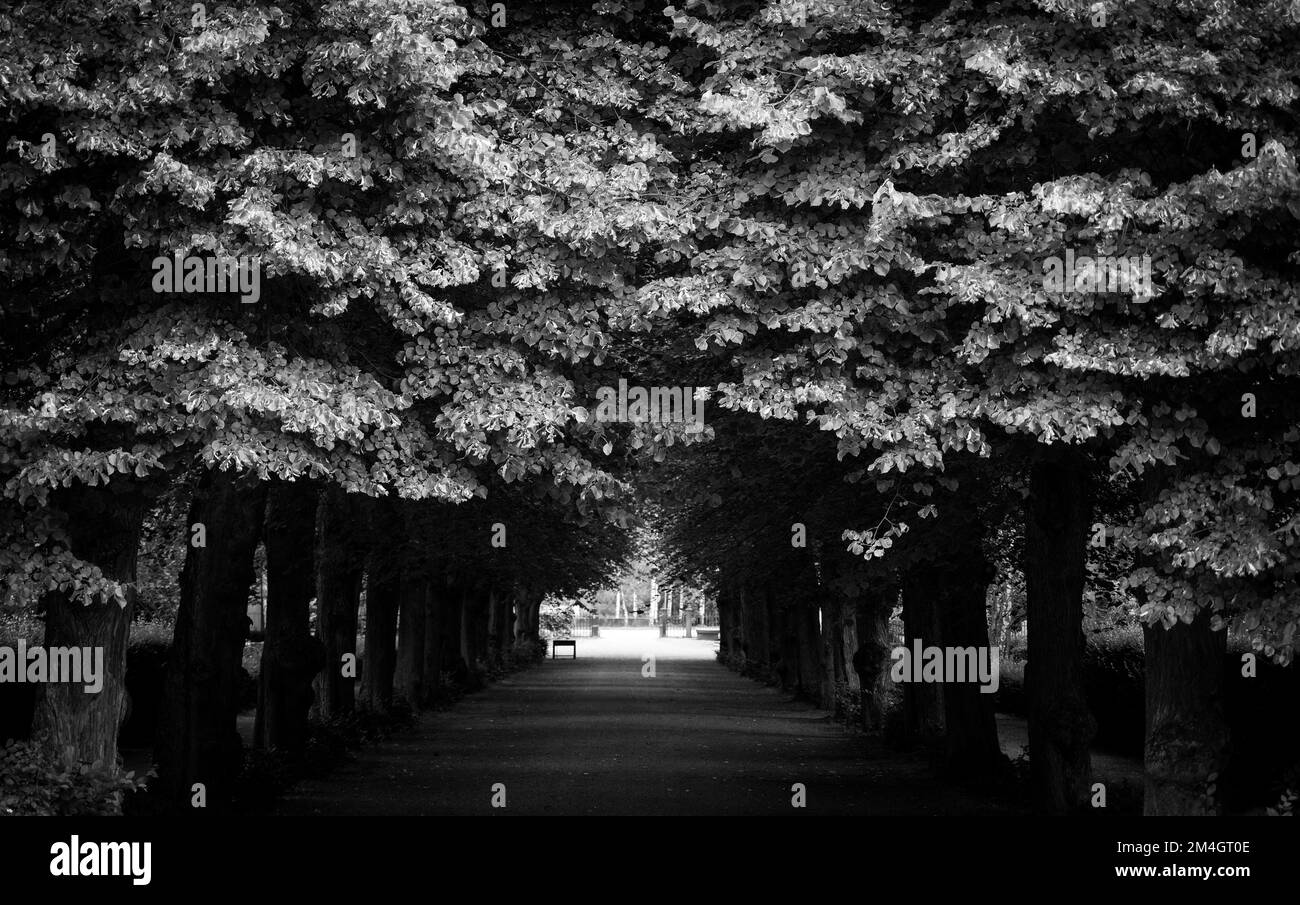 Landscape photo footpath in Black and White Stock Photos & Images - Alamy