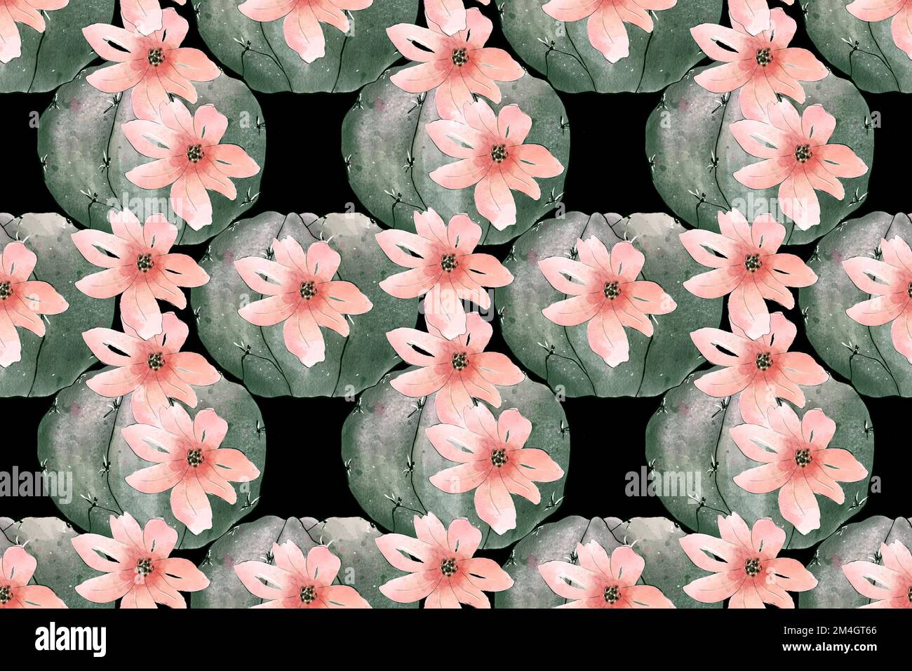 Seamless pattern with succulents and cacti flowers. Watercolor hand ...