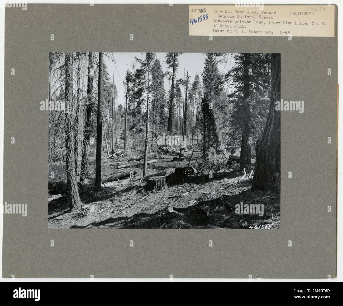 Timber Management - Partial Cutting - California. Photographs Relating ...