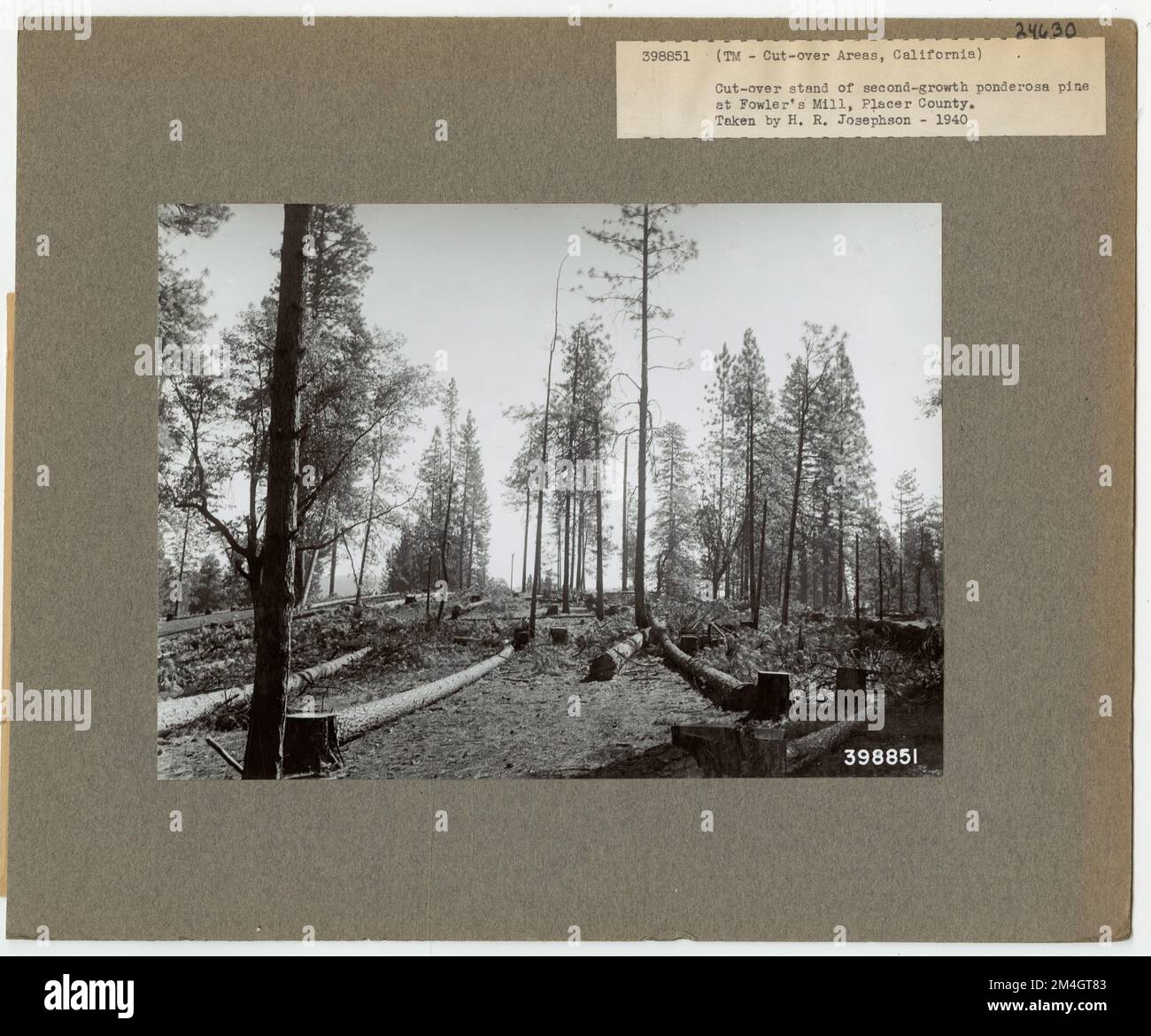 Timber Management - Partial Cutting - California. Photographs Relating ...
