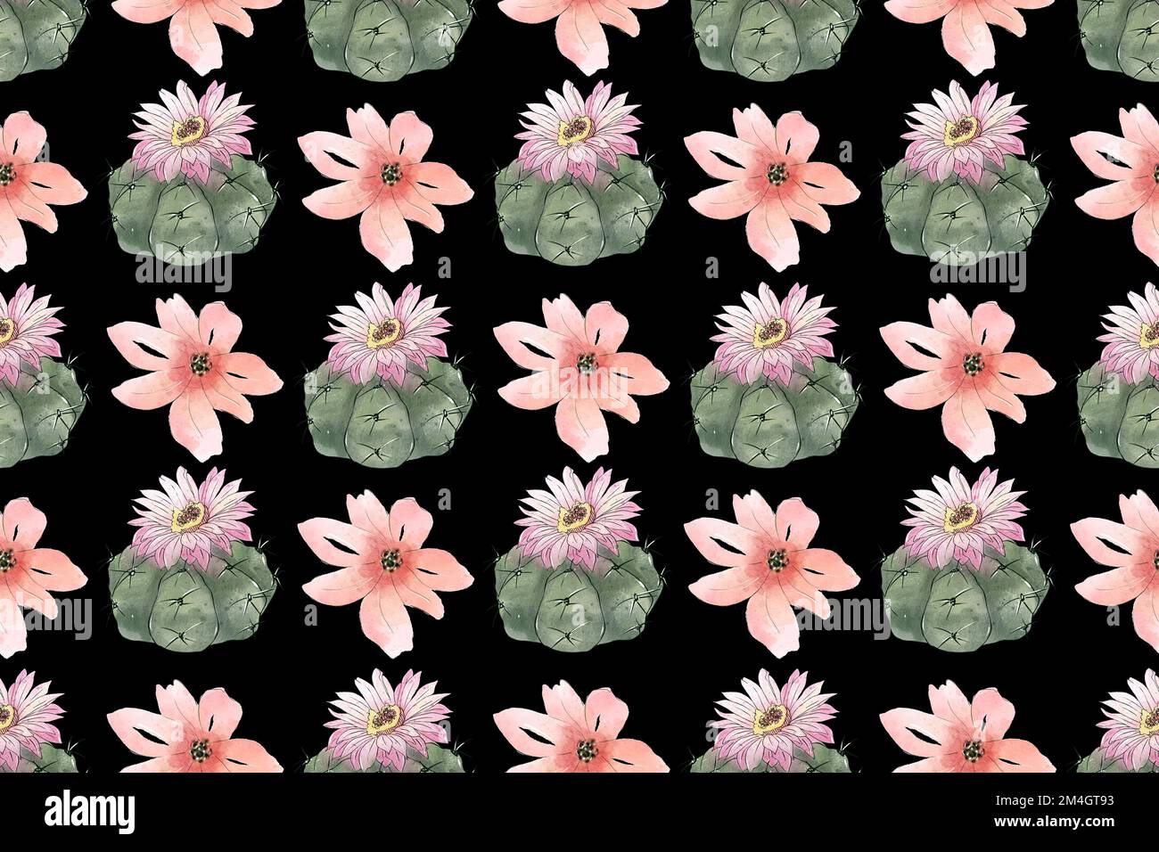 Seamless pattern with succulents and cacti flowers. Watercolor hand ...