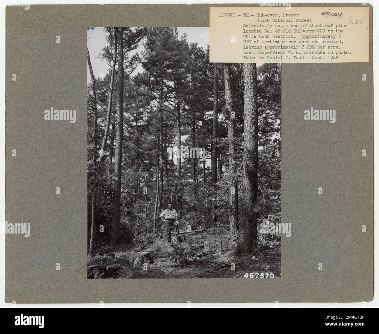 Timber Management - Partial Cutting - Arkansas. Photographs Relating to ...