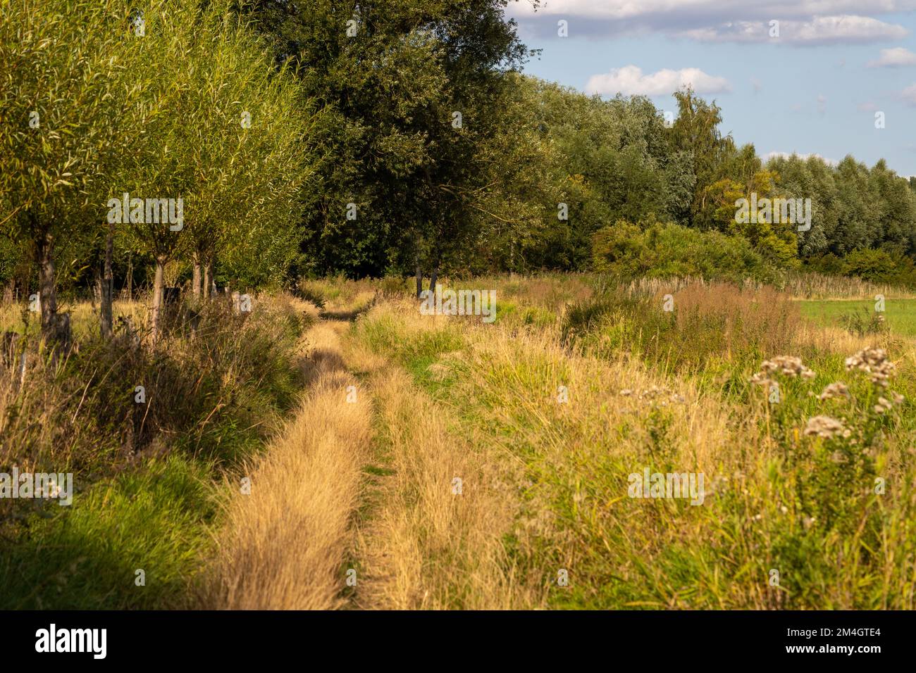 Spring to be wildly hi-res stock photography and images - Alamy