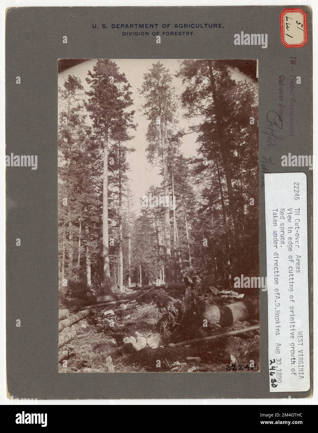 Timber Management - Cut -over Area - West Virginia. Photographs ...