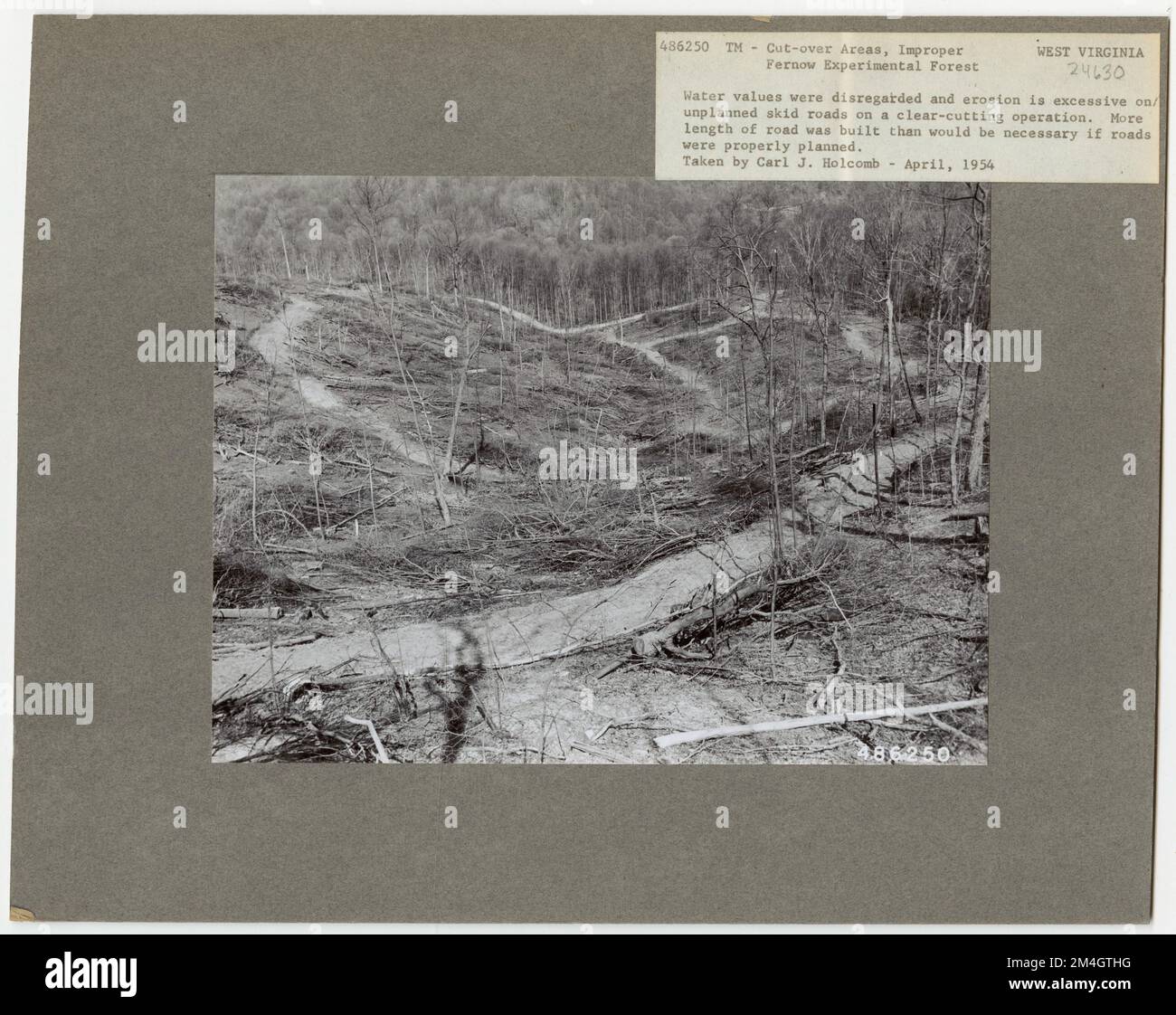 Timber Management - Cut -over Area - West Virginia. Photographs ...