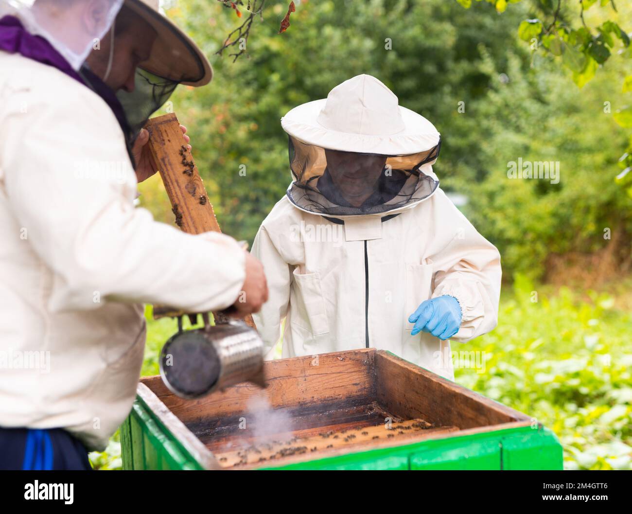 Opening hive hi-res stock photography and images - Alamy
