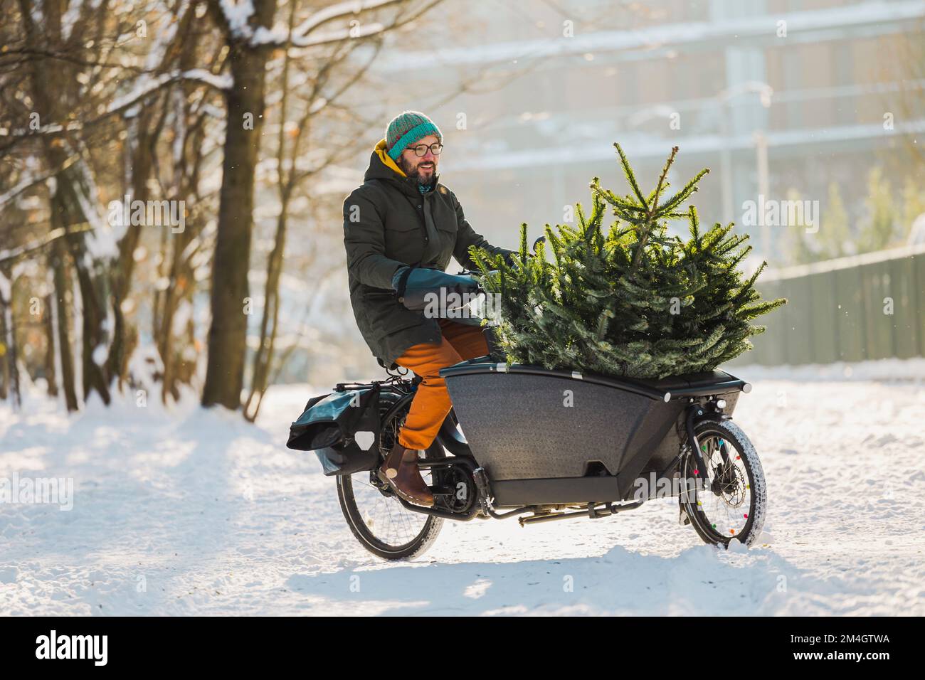 Man transporting Christmas tree on cargo bike Stock Photo - Alamy