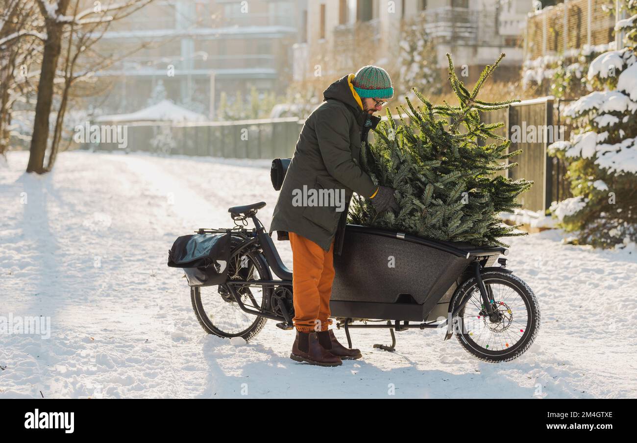 Man transporting Christmas tree on cargo bike Stock Photo - Alamy