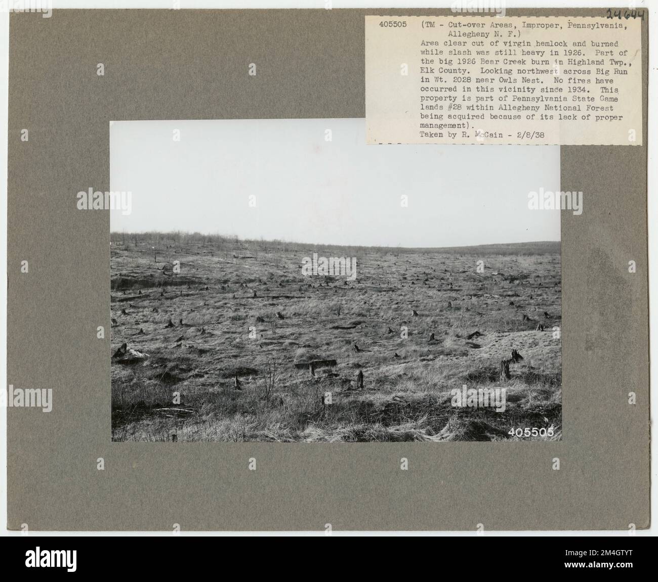 Timber Management - Cut -over Area - Pennsylvania. Photographs Relating ...