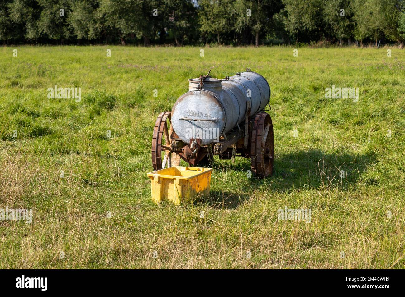 Water tank for sheep on a pasture Stock Photo - Alamy