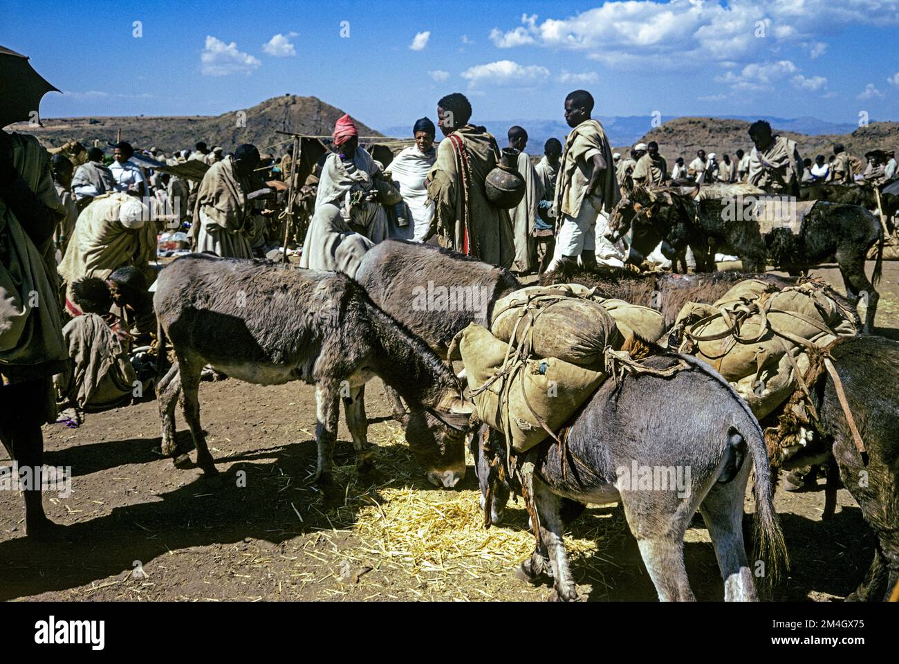 Ethiopia, 1970s, Lalibela crowded open-air market, people, donkeys ...
