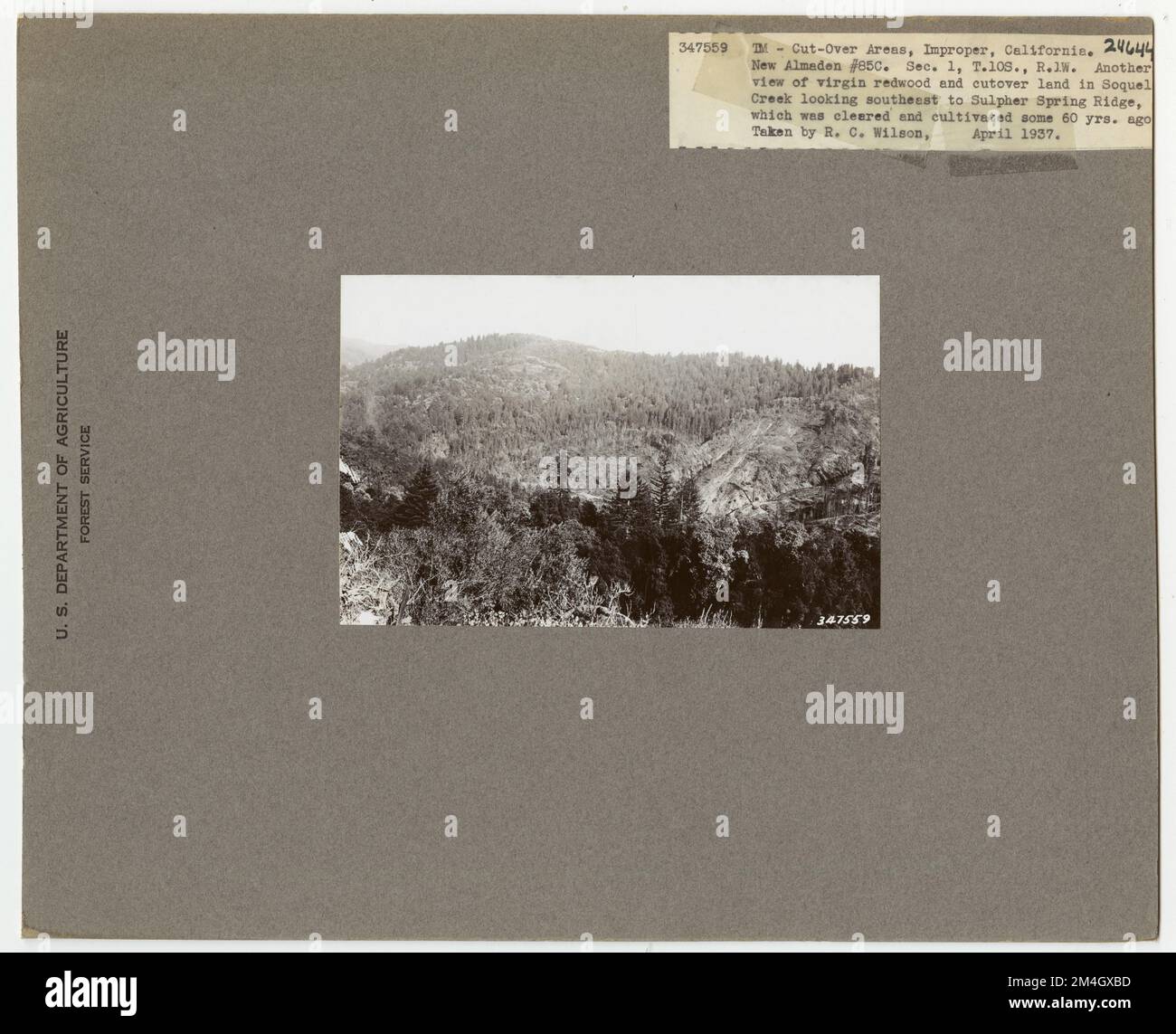 Timber Management - Cut -over Area - California. Photographs Relating ...