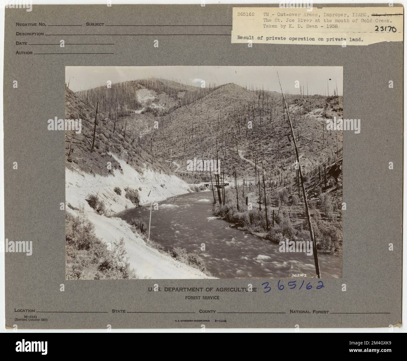 Effects of Logging - All States. Photographs Relating to National ...