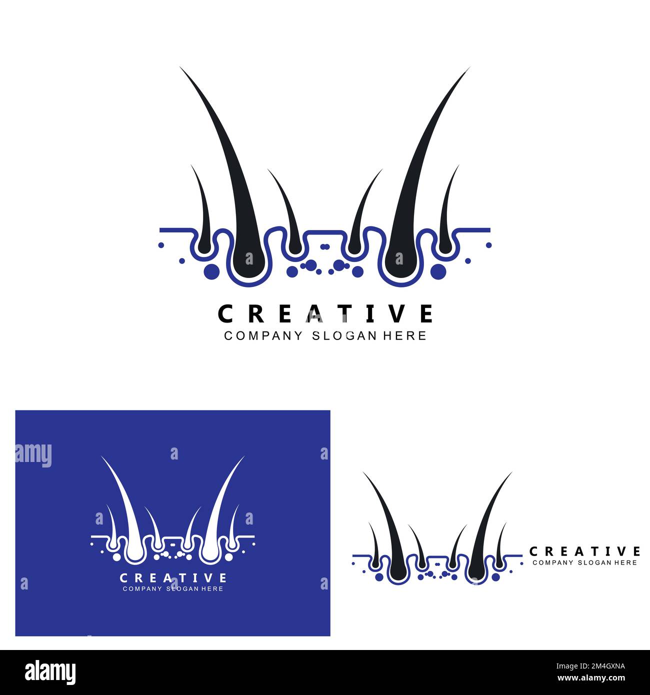 Trichology vector vectors hi-res stock photography and images - Alamy