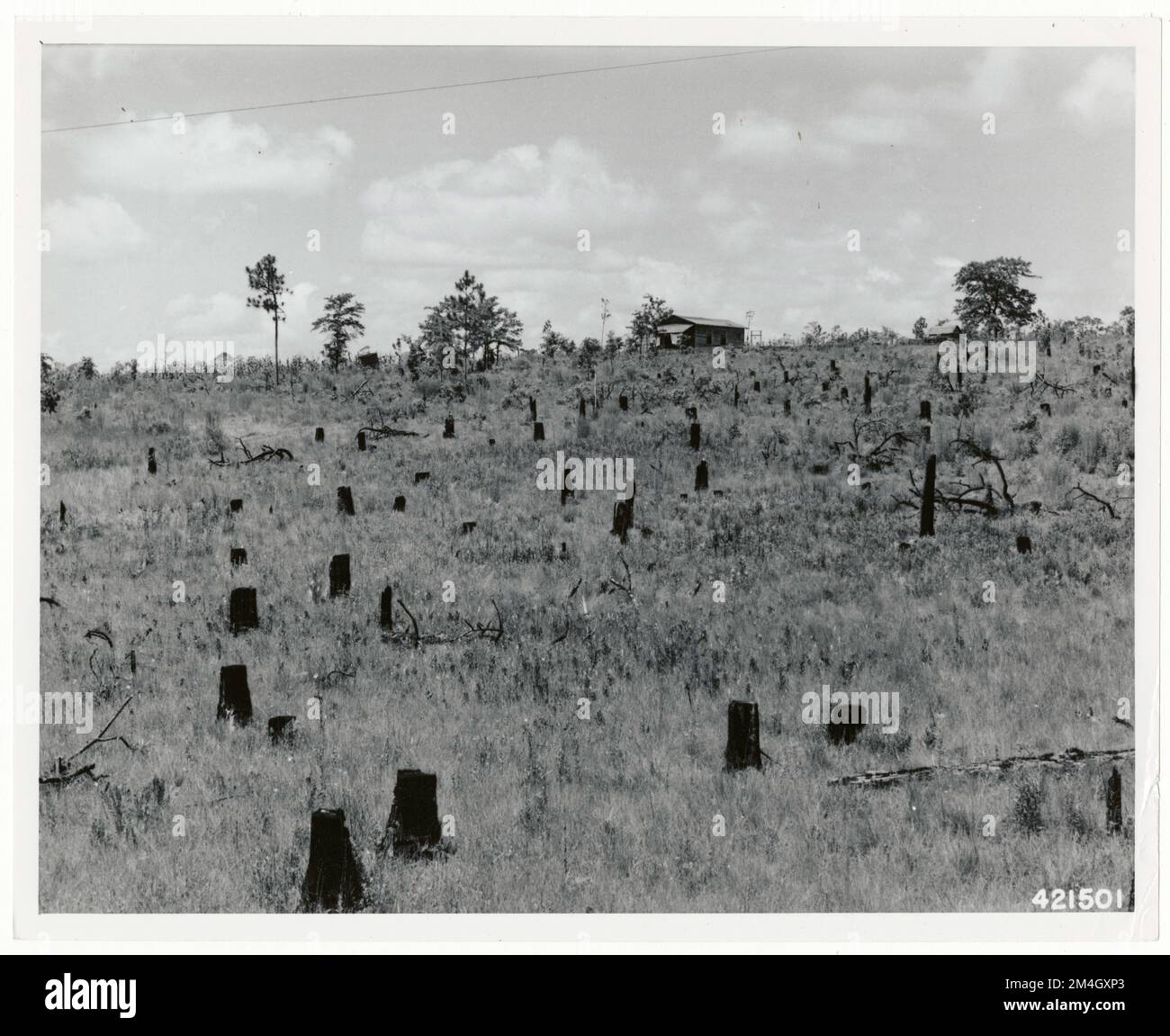 Logging effects Cut Out Stock Images & Pictures - Alamy