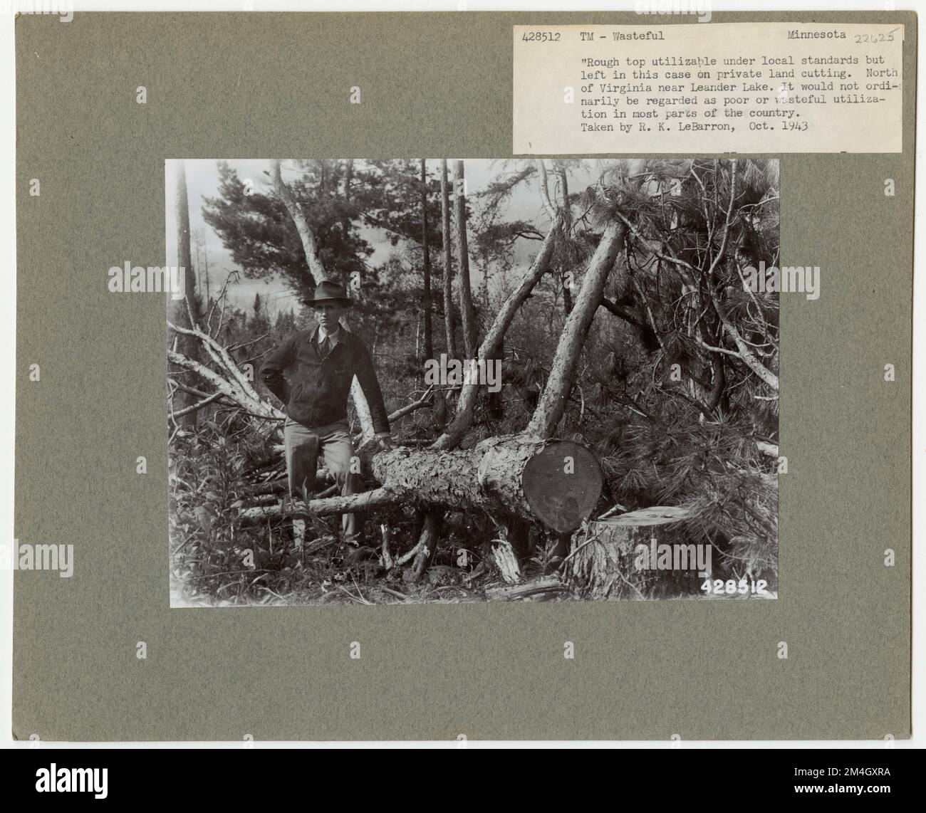 Effects of Logging - All States. Photographs Relating to National ...