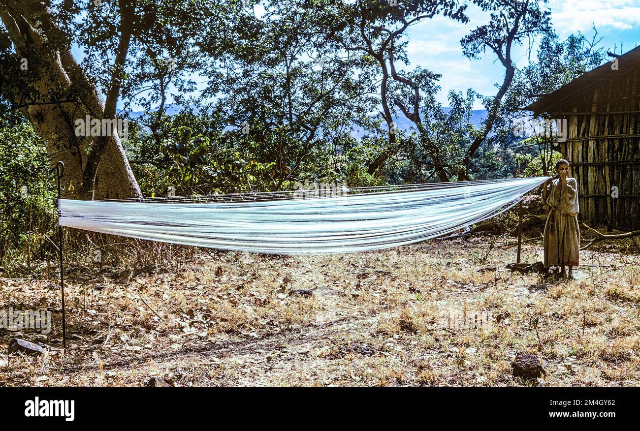 Ethiopia, 1970s, woman weaving white cloth, Tisisat village, Amhara ...