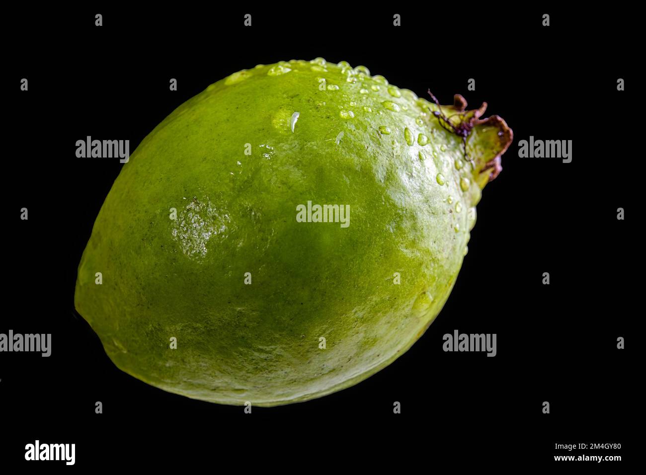 Black guava hi-res stock photography and images - Alamy