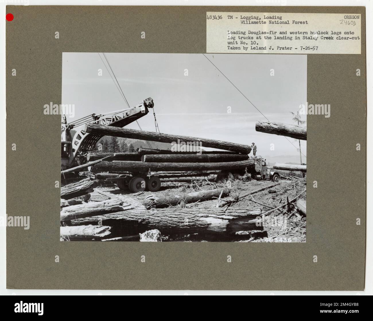 Logging: Loading Logs - Oregon. Photographs Relating to National ...
