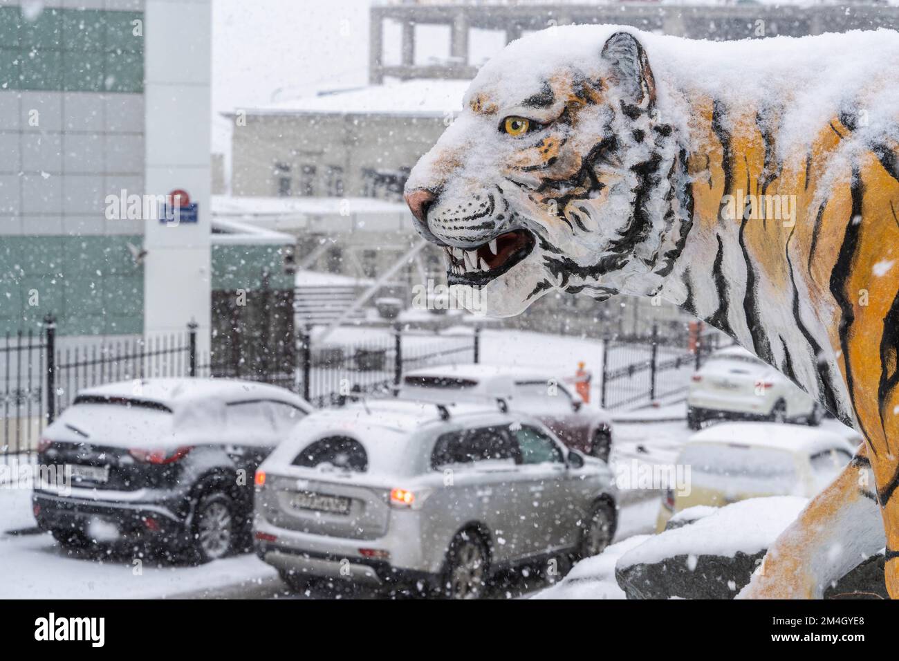 Vladivostok, Russia. 21st Dec, 2022. A tiger statue is covered by snow ...