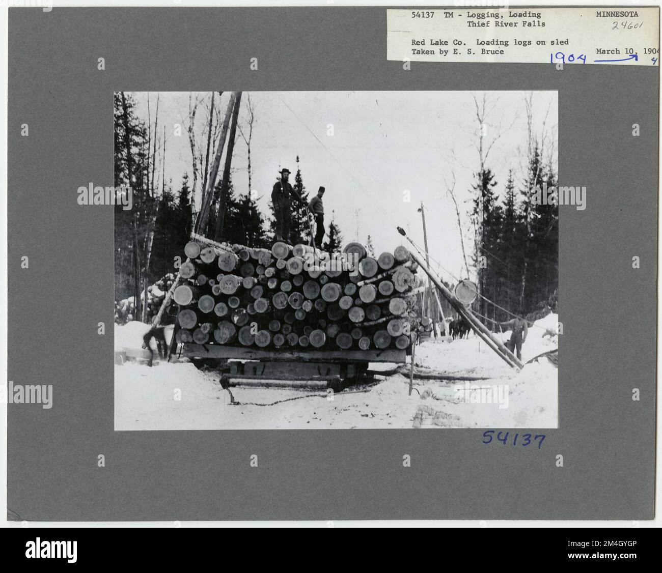 Logging: Loading Logs - Minnesota. Photographs Relating to National ...