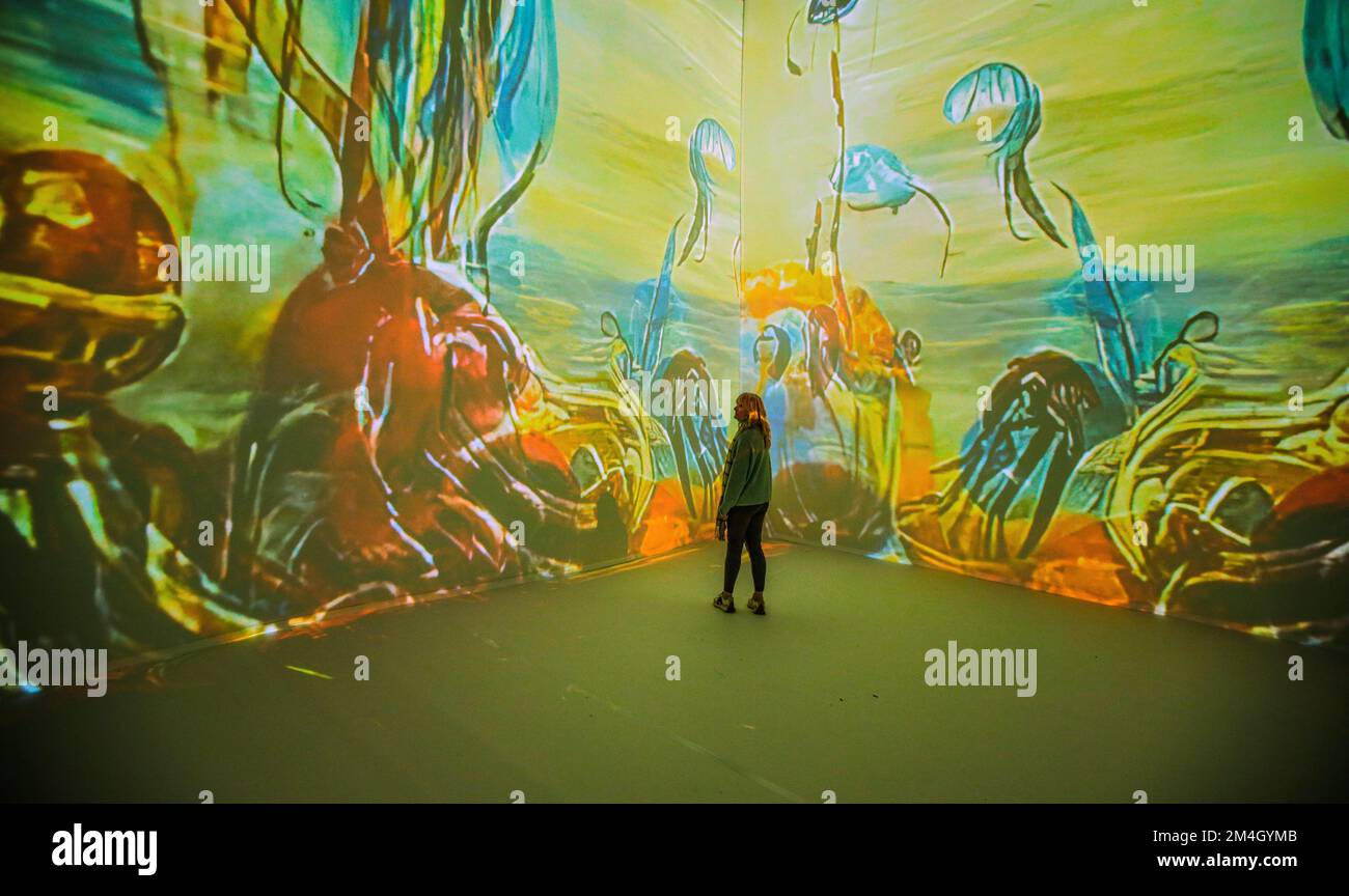 Immersive dali experience hi-res stock photography and images - Alamy
