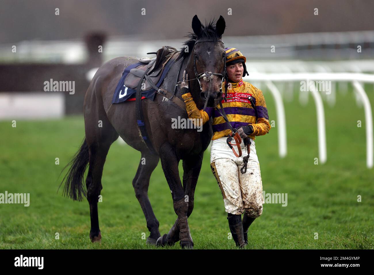 Amenon, a faller in the second race, ridden by Bryony Frost following ...