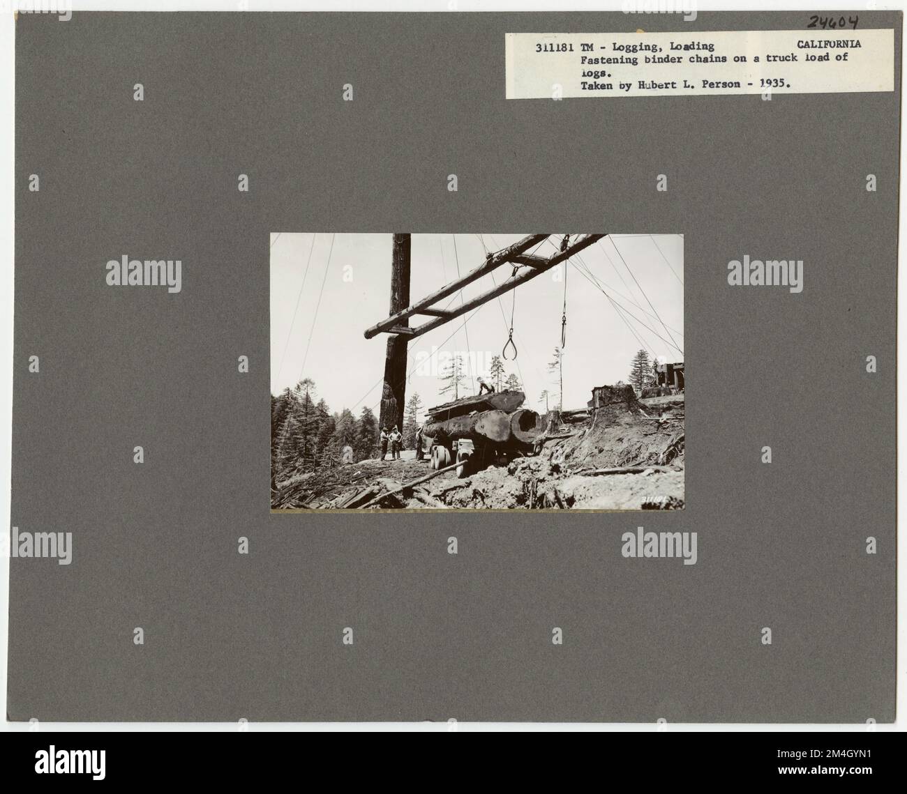 Logging: Loading Logs - California. Photographs Relating to National ...