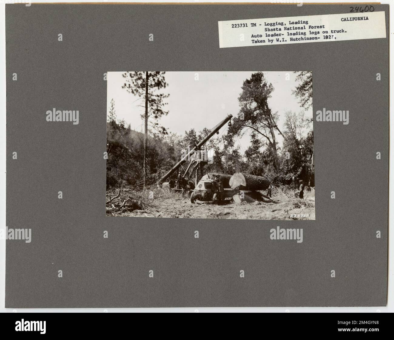 Logging: Loading Logs - California. Photographs Relating to National ...