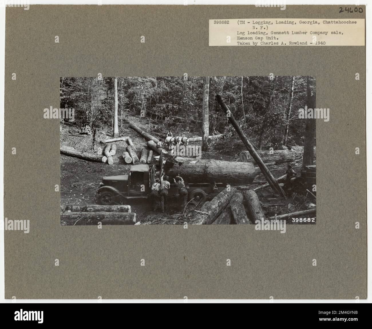 Logging: Loading Logs - Georgia. Photographs Relating to National ...